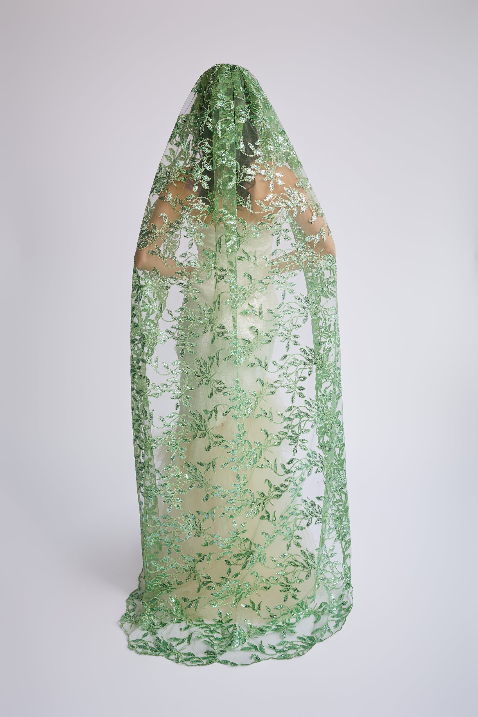 Enchanted Veil – Madison Chamberlain